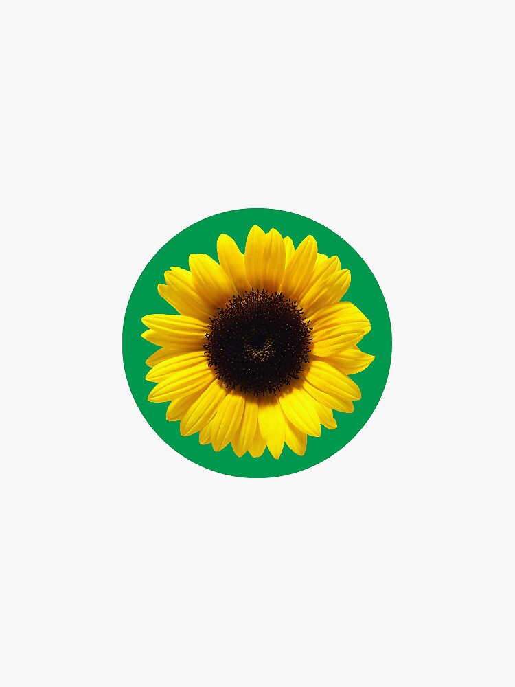 "Hidden disability sunflower logo" Sticker for Sale by SueAnne99 ...