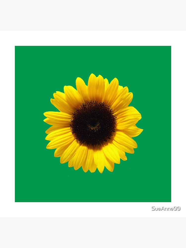 "Hidden disability sunflower logo" Pin for Sale by SueAnne99 | Redbubble