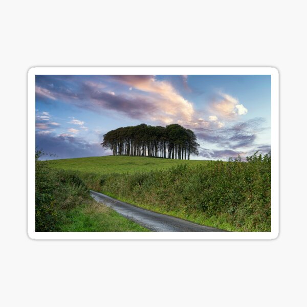 "nearly there trees,Coming Home ,Landmark trees,on the A30," Sticker ...