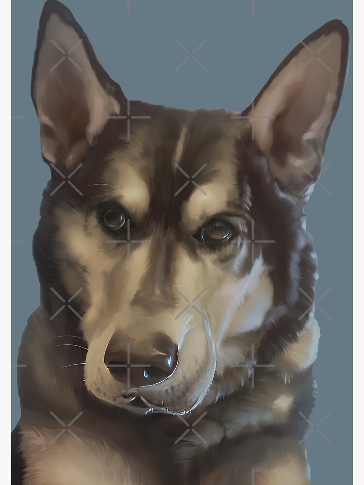 "Boris The Cute Husky Dog" Poster for Sale by PurrtyPetsFam | Redbubble