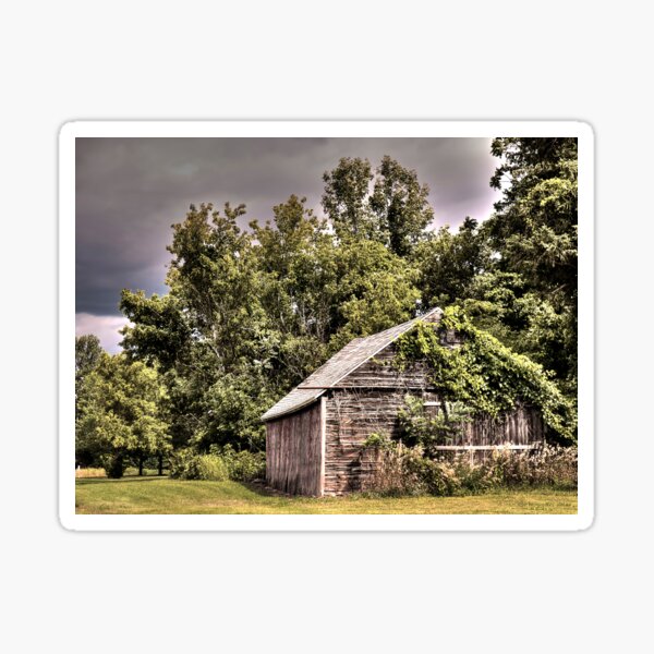 "Unused & Overgrown " Sticker for Sale by LMontgomery | Redbubble