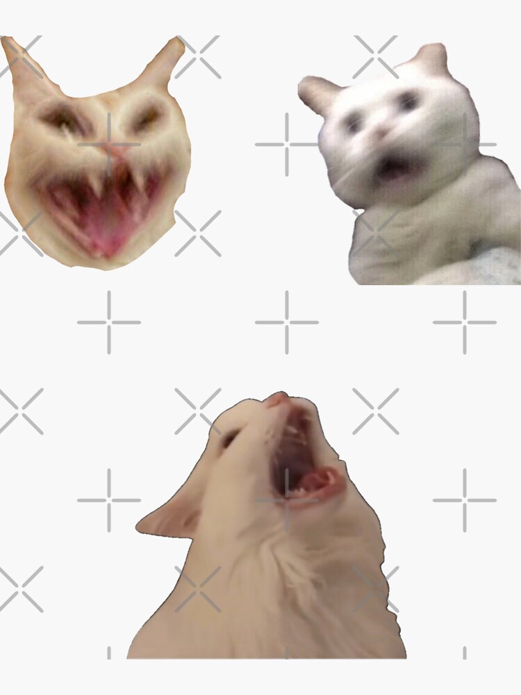"White Cat Screaming Meme pack set" Sticker for Sale by redakhatib ...