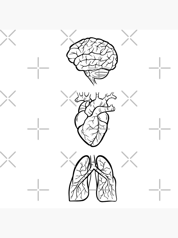 "Brain, heart, lungs - black on white" Sticker for Sale by SaharaaDraws ...