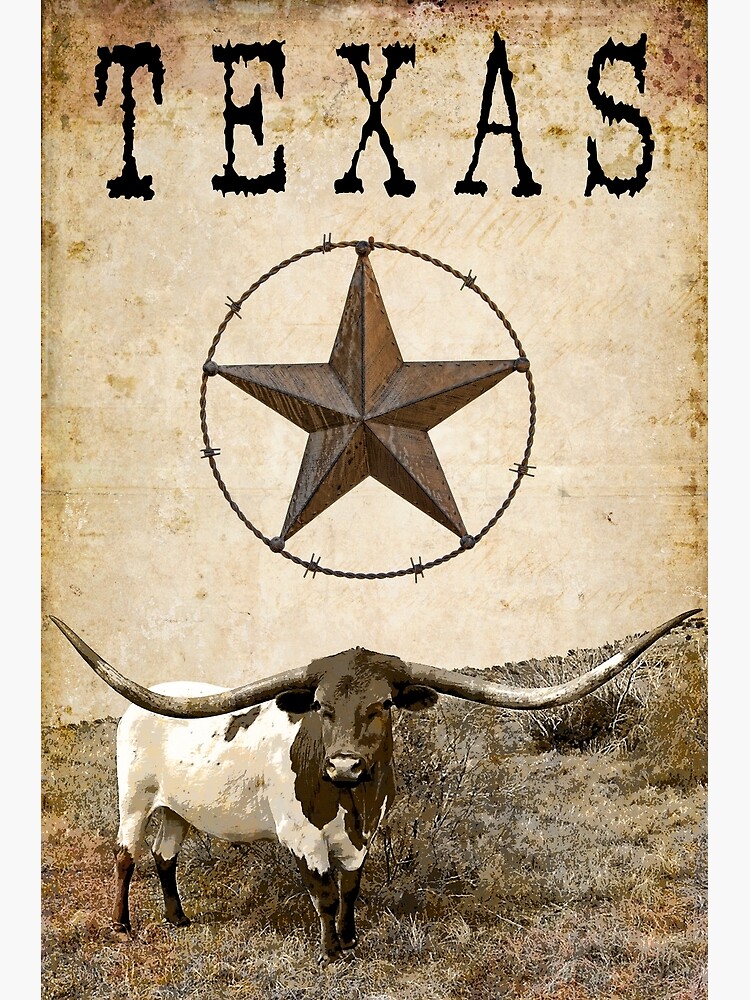 "TEXAS Lone Star State" Poster for Sale by Daniel-Hagerman | Redbubble