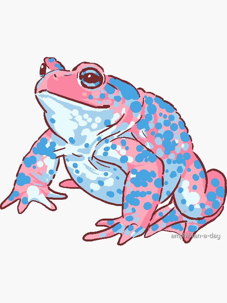 "Trans Toad A" Sticker for Sale by amphibian-a-day | Redbubble