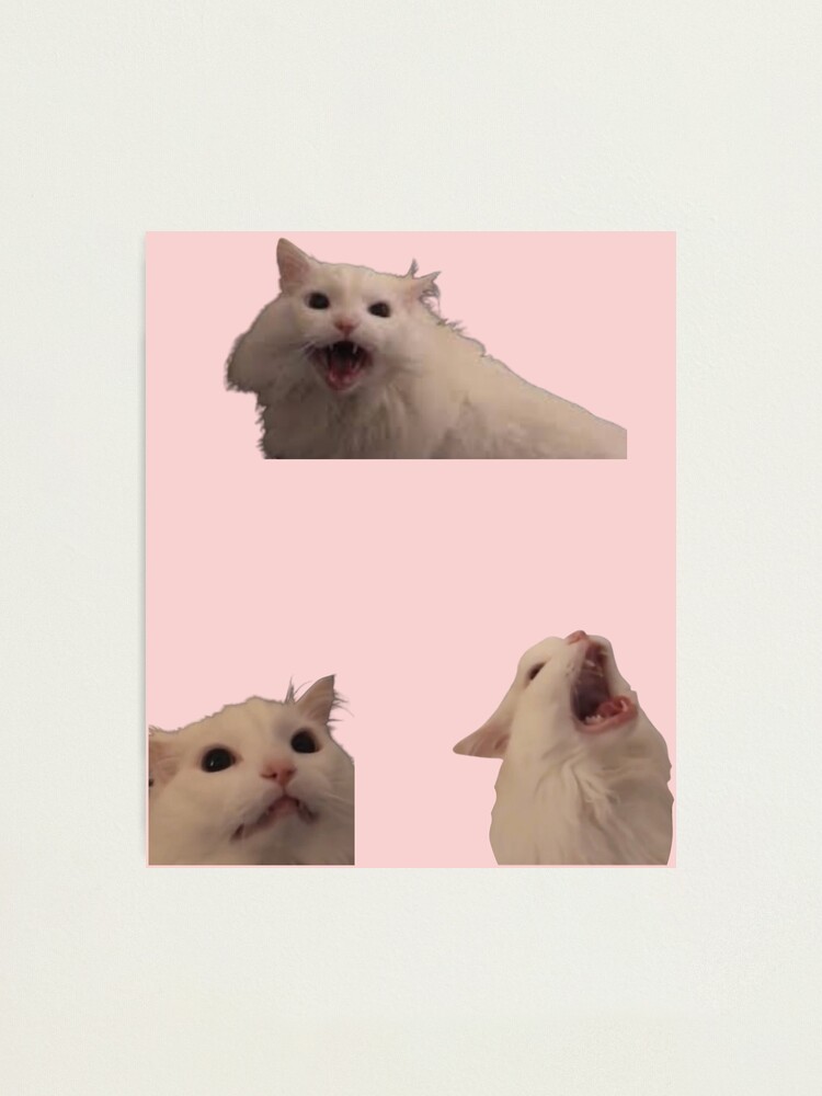 "Sticker Set screaming Cat Meme Pack" Photographic Print for Sale by ...