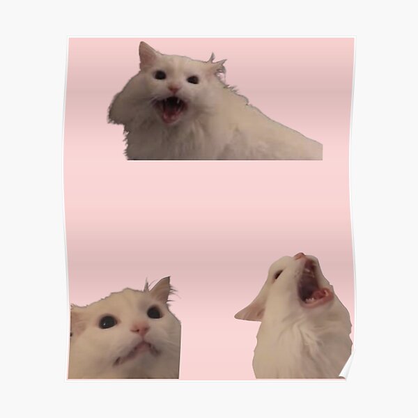Sticker Set Screaming Cat Meme Pack Poster For Sale By Redakhatib