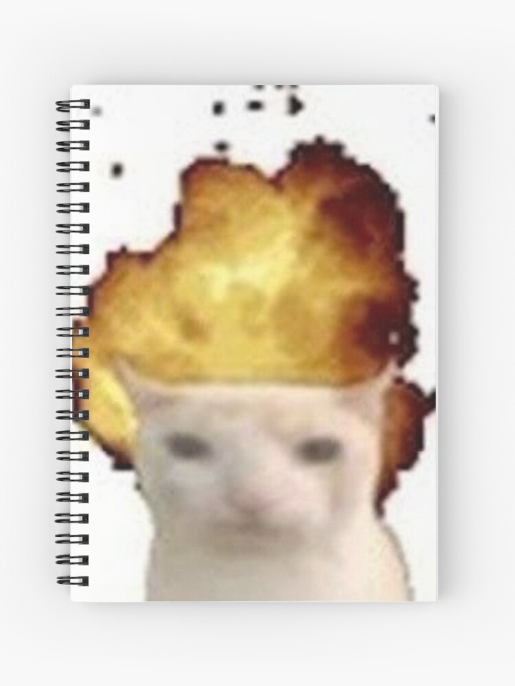 "exploding cat meme" Journal for Sale by FunkisDesignes | Redbubble