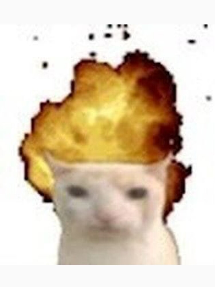 "exploding cat meme" Essential T-Shirt for Sale by FunkisDesignes ...