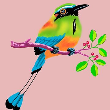 "Cute Torogoz" Sticker by paisajetropical | Redbubble