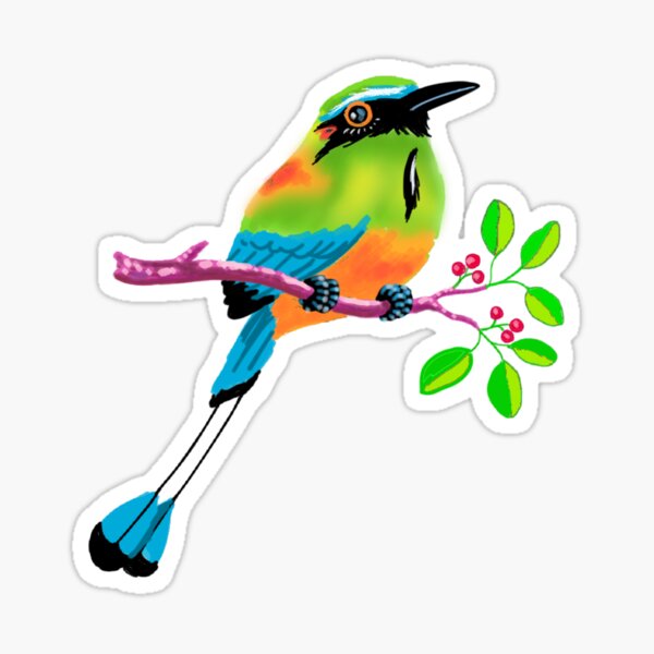 "Cute Torogoz" Sticker by paisajetropical | Redbubble