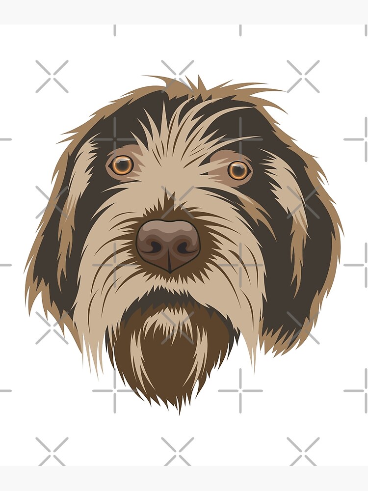 "Griff Head Wirehaired Pointing Griffon" Poster for Sale by Dog-Artwork ...