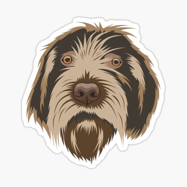 "Griff Head Wirehaired Pointing Griffon" Sticker for Sale by Dog ...