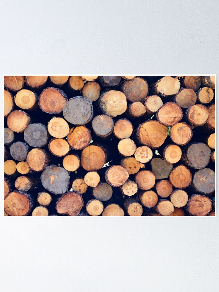 "Log Pile" Poster by Ruffus11 | Redbubble