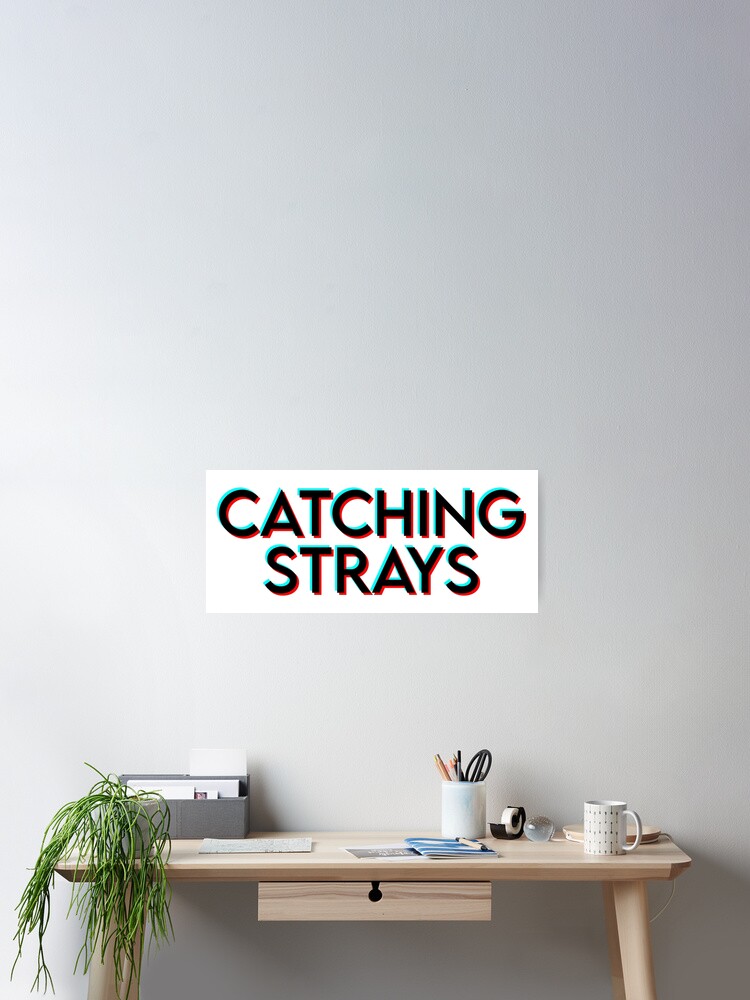 "Catching Strays" Poster for Sale by Borg219467 | Redbubble