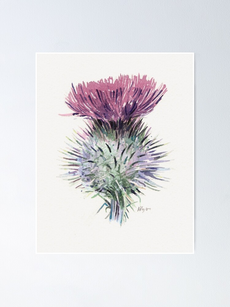 "Scottish Thistle " Poster for Sale by arlyon | Redbubble