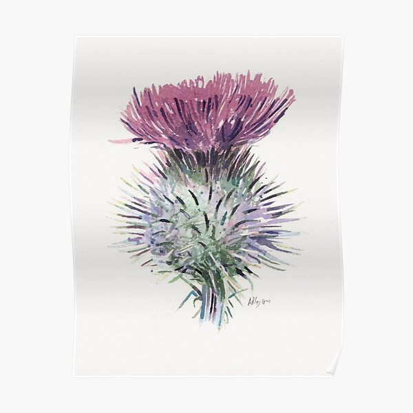 "Scottish Thistle " Poster for Sale by arlyon | Redbubble