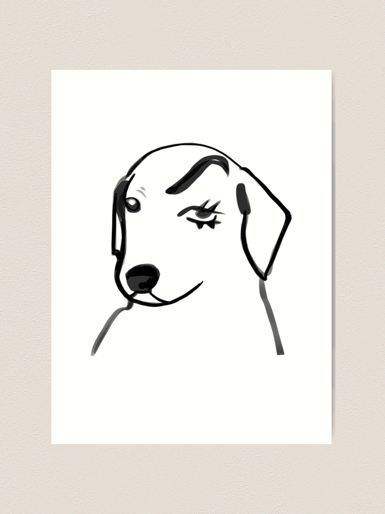 Drawing Eyebrows On Dogs