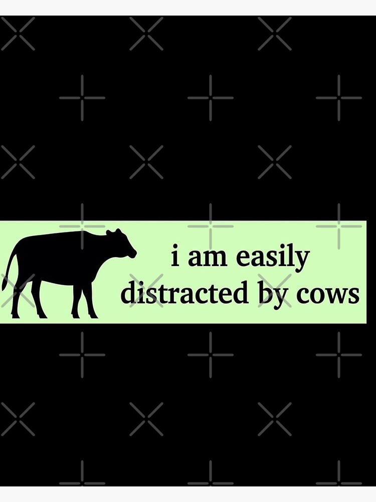 "I Am Easily Distracted By Cows Bumper Sticker Unhinged Humor Funny ...