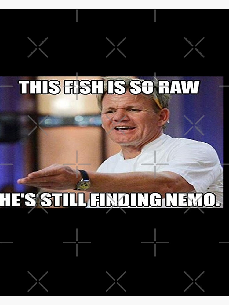 "gordon ramsay meme Sticker !This fish is so raw he's still finding ...