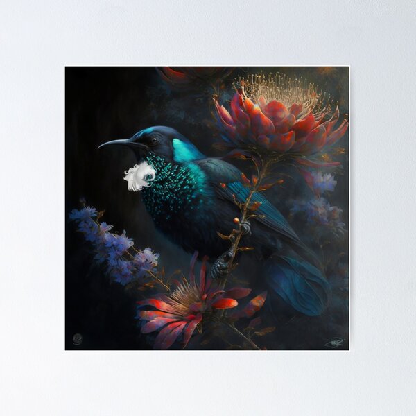 "New Zealand Tui, NZ Bird, Native NZ Bird, New Zealand, Tui, Māori Bird ...