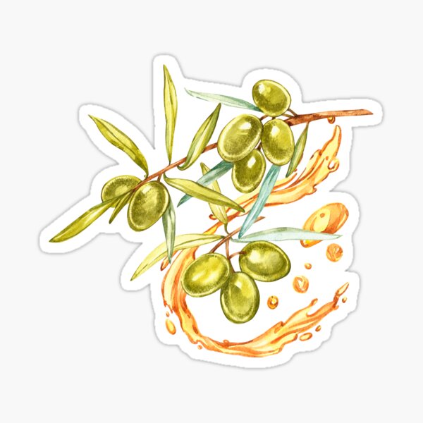 "Realistic illustration of black and green olives branch" Sticker for ...