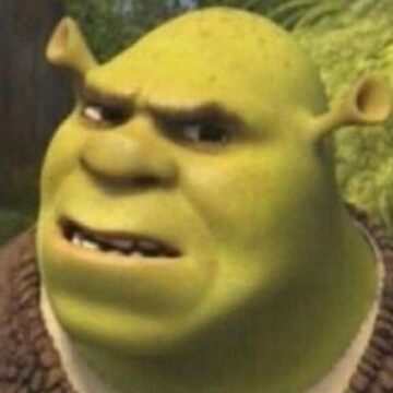 Judgmental Face Meme