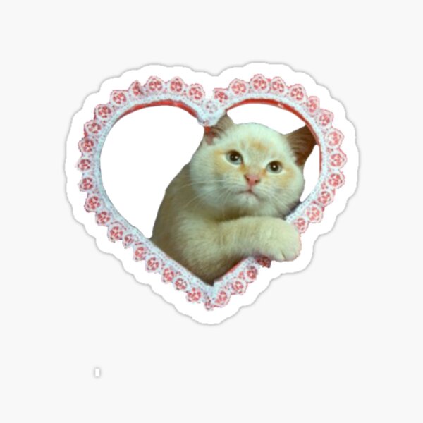 "kitten inside heart" Sticker by juanisanse | Redbubble