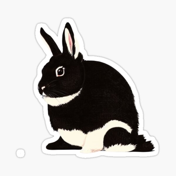"Cute and Fluffy Black and White Netherland Dwarf Rabbit" Sticker for ...