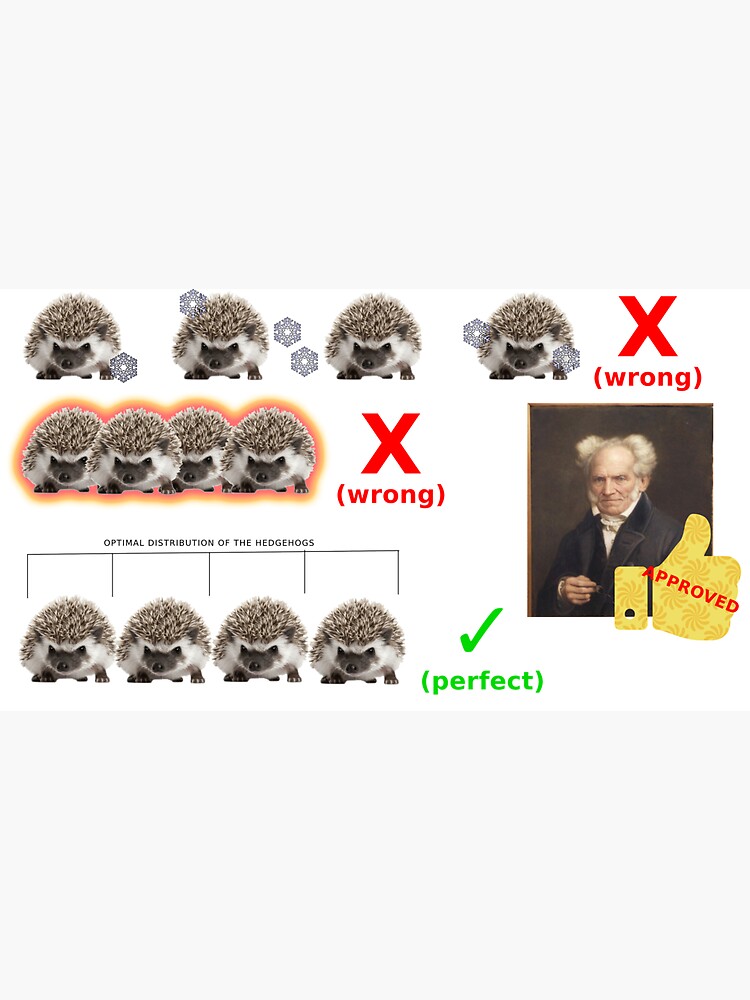 "SoftBank ‘Hedgehogs’ Slide (sticker and card only)" Sticker for Sale ...