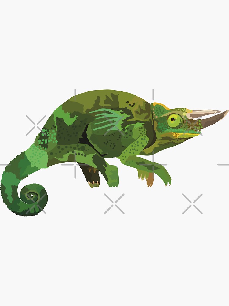 "J is for Jacksons Chameleon " Sticker for Sale by thezoogirl | Redbubble