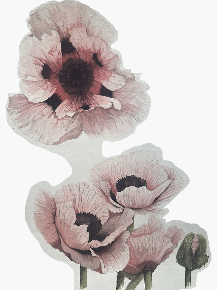 "Poppy Flower " Sticker for Sale by BreannaYielding | Redbubble
