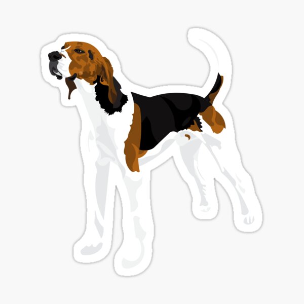 "Ringo" Sticker for Sale by ArtofACoonhound | Redbubble