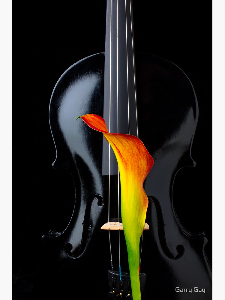"Black Violin With Calla Lily" Sticker for Sale by photogarry | Redbubble