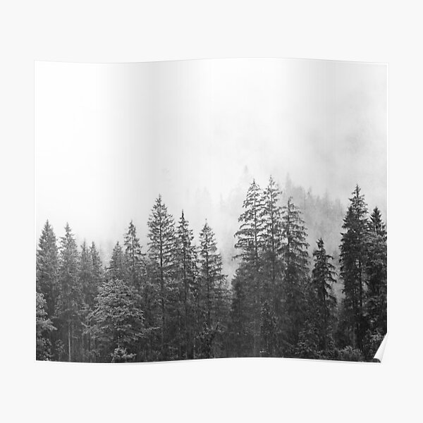 "Dark Black and White Emo Grunge Goth Minimalist Forest" Poster for ...