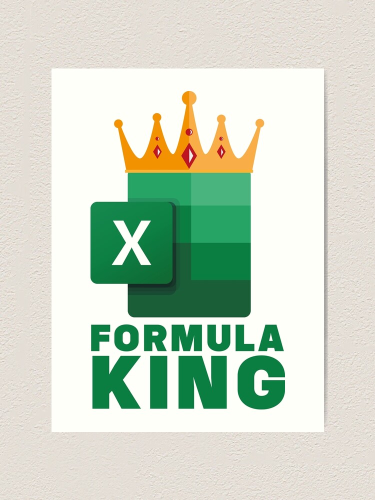 " FORMULA KING Funny Accountant gift, Account Gift ,Excel , Tax Season ...