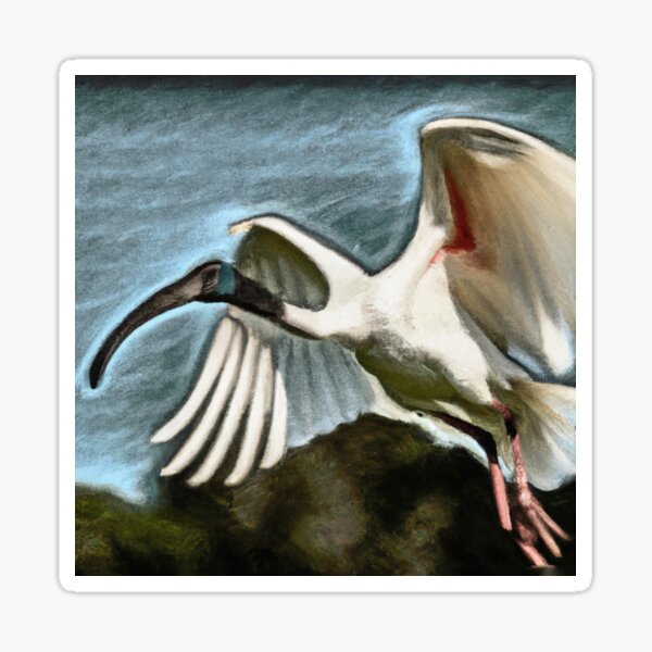 "IBIS water colour painting, Australian White Ibis, bin chicken, water ...