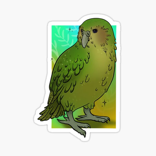 "Kakapo" Sticker for Sale by Kareena Conn | Redbubble