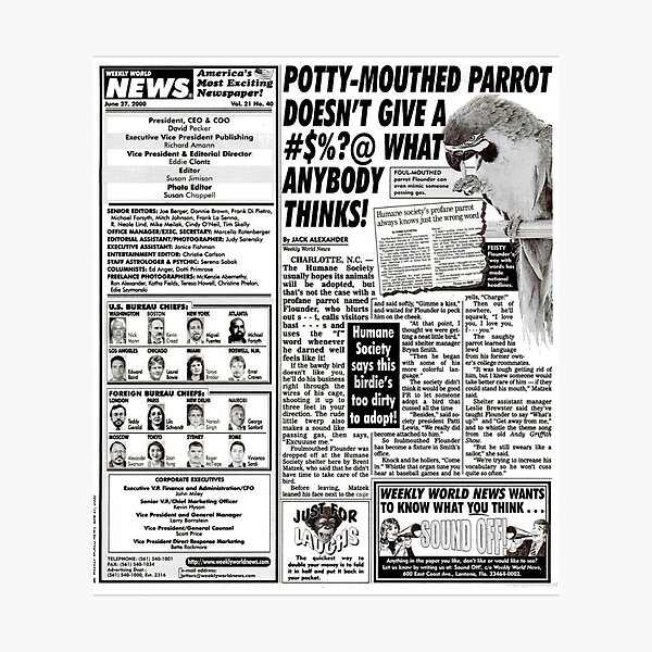 "Potty mouthed parrot funny talking bird swearing bird pet parakeet ...