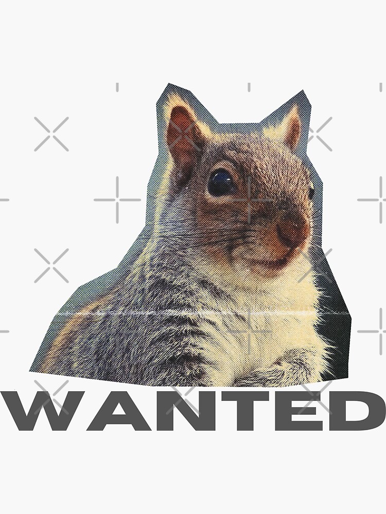 "Wanted Squirrel" Sticker for Sale by boomantique | Redbubble
