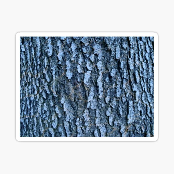 "Ash bark" Sticker for Sale by AdioraStore | Redbubble