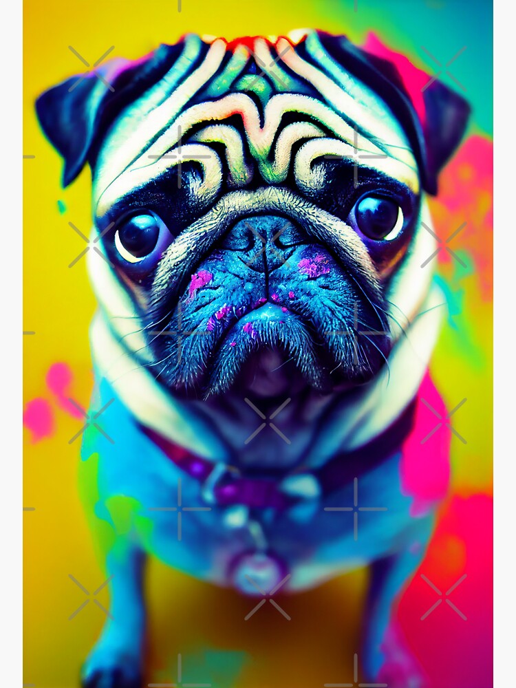 "A Vibrant Portrait of a Pug celebrating Holi" Sticker for Sale by ...