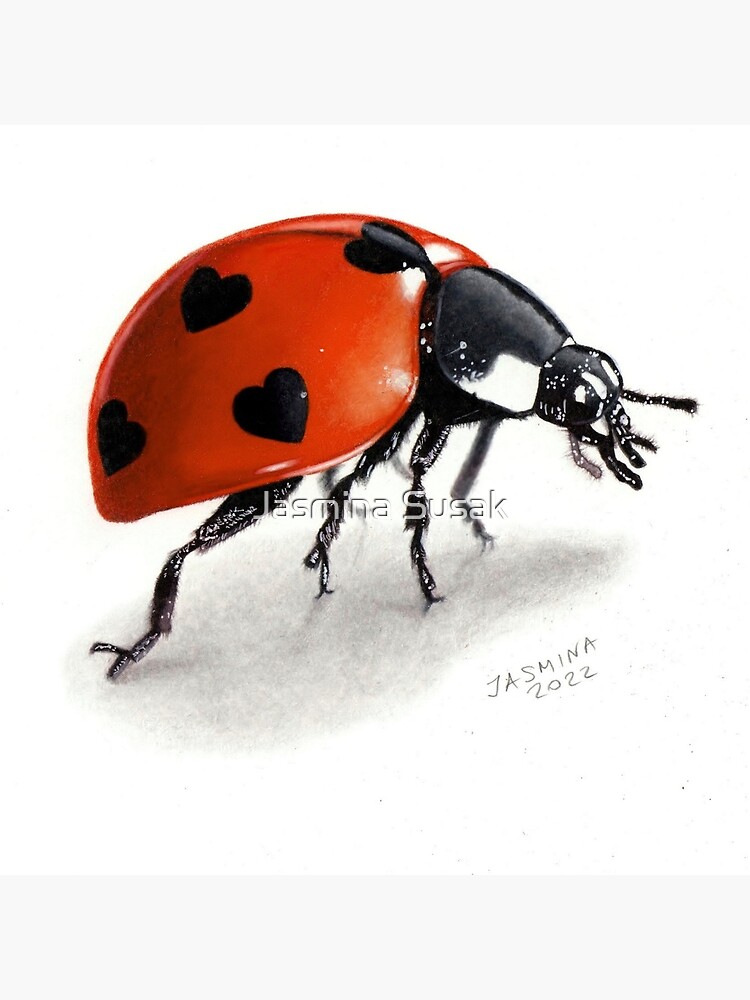 "Colored Pencil Drawing of a Ladybug" Poster for Sale by JasminaSusak ...