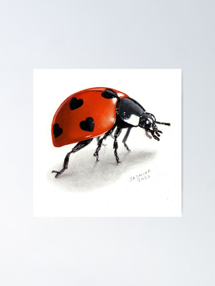 "Colored Pencil Drawing of a Ladybug" Poster for Sale by JasminaSusak ...