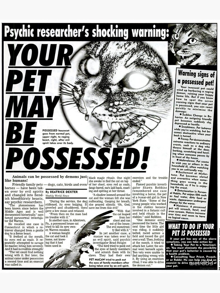"Your pet possessed funny demonic cat demon devil psychic dog pet ...