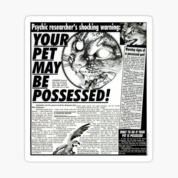 "Your pet possessed funny demonic cat demon devil psychic dog pet ...