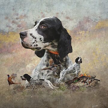 "English Setter YARSA " Sticker for Sale by TammyHunterArt | Redbubble