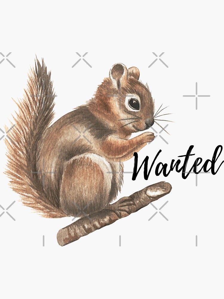 "Wanted Squirrel" Sticker for Sale by boomantique | Redbubble