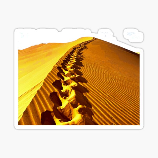 "Desert Texture " Sticker for Sale by ontological | Redbubble