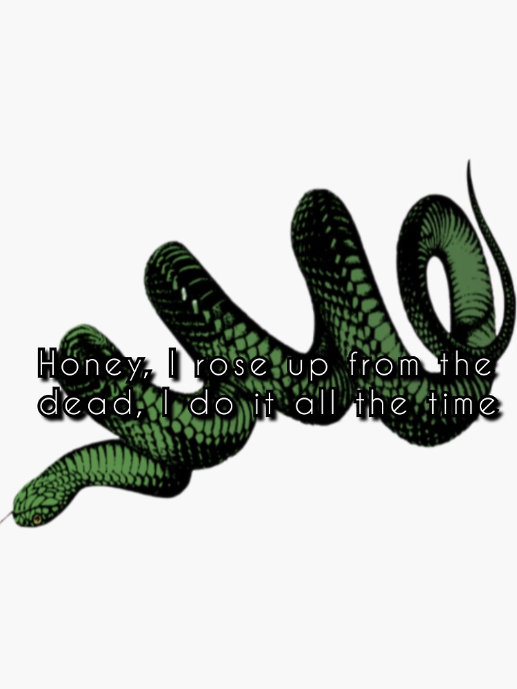 "LWYMMD Taylor Swift Snake " Sticker for Sale by Catandcrow | Redbubble